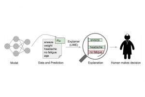 LIME Local Interpretable Model – Agnostic Explanations เทคนิคสุดจี๊ด ...
